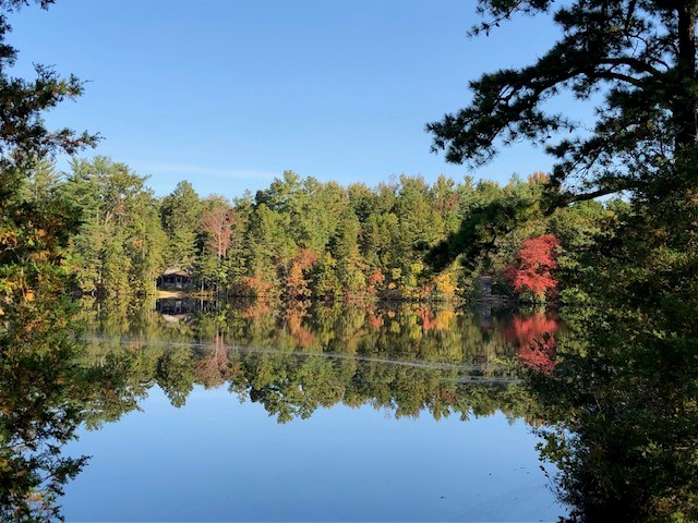 Lake - Batsto Village