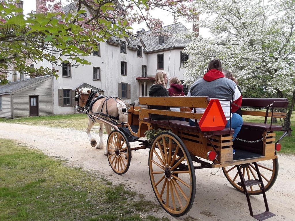 Look for buys...and take a ride! - Batsto Village